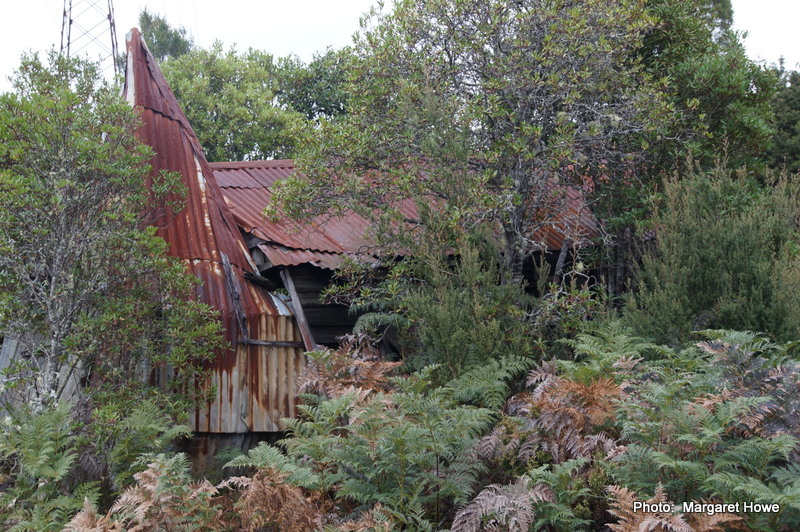 Iris Tin Mine Hut - Mountain Huts Preservation Society Inc