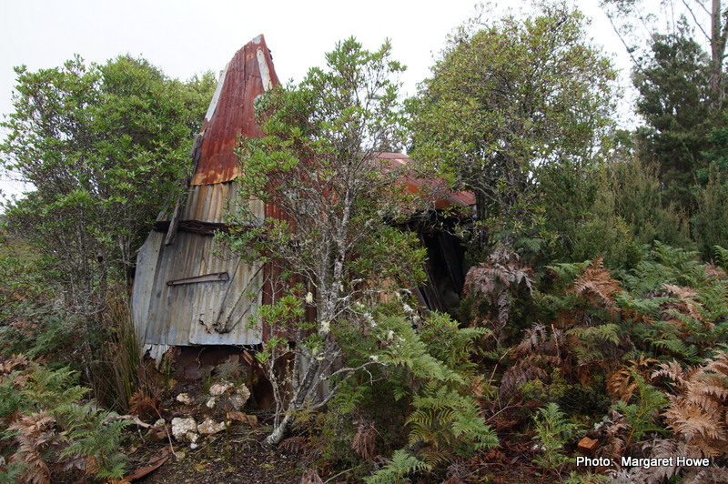 Iris Tin Mine Hut - Mountain Huts Preservation Society Inc