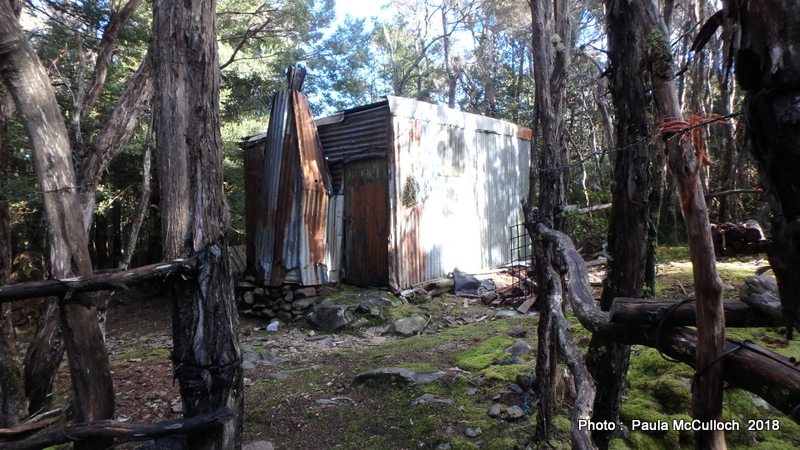 White Grass Hut - Mountain Huts Preservation Society Inc