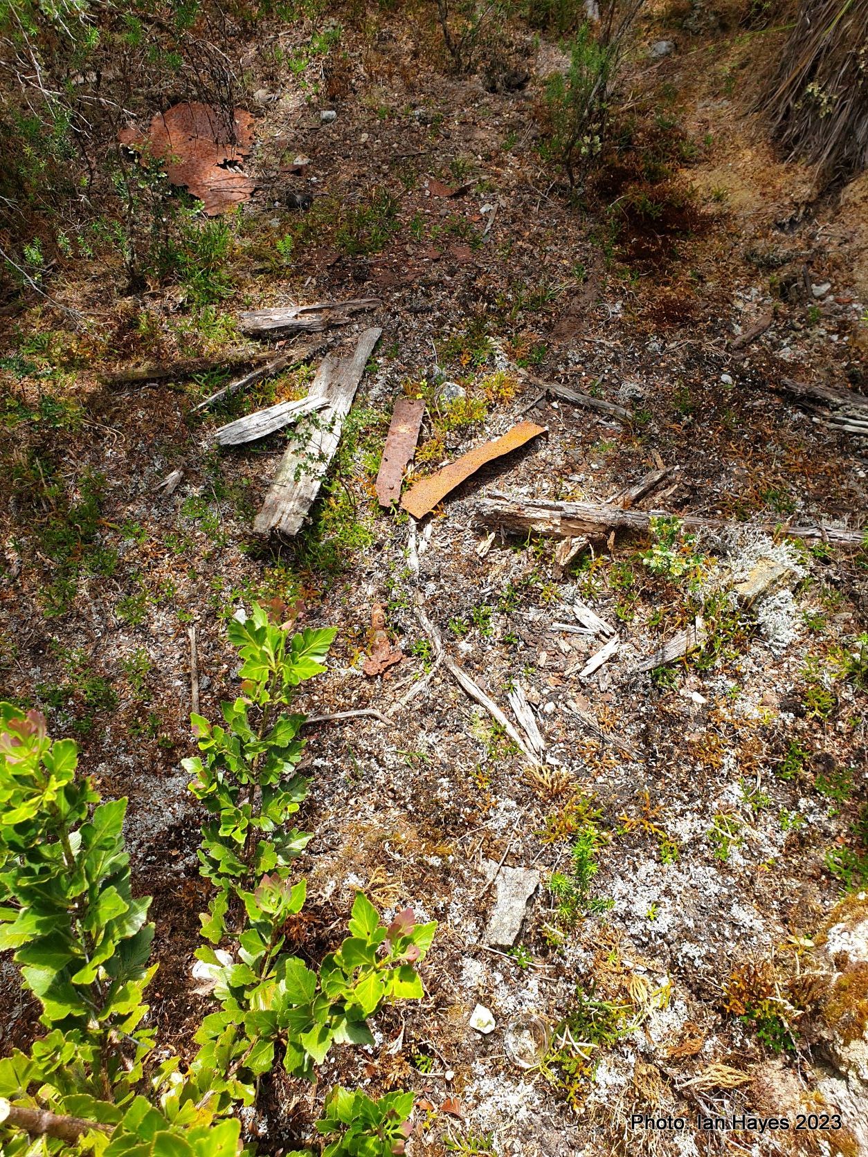 Wombat Alluvial Hut - Mountain Huts Preservation Society Inc