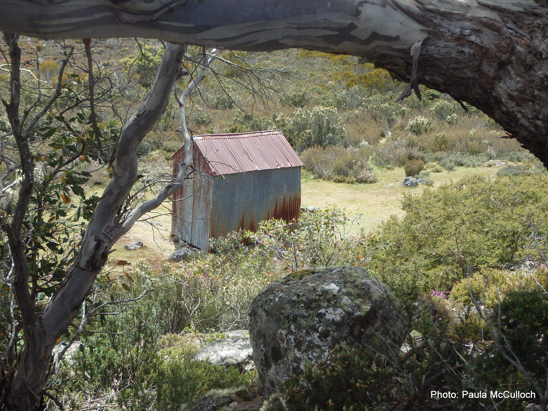 Tin Hut Central Plateau - Mountain Huts Preservation Society Inc