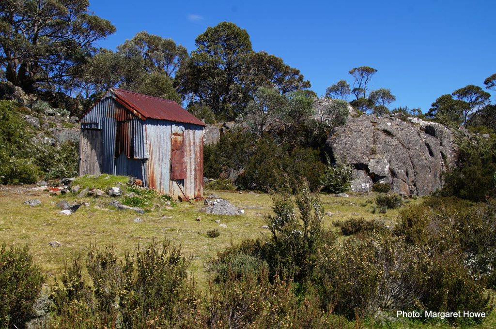Tin Hut Central Plateau - Mountain Huts Preservation Society Inc