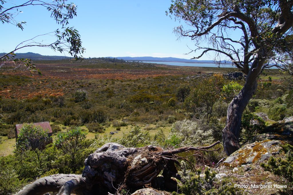 Tin Hut Central Plateau - Mountain Huts Preservation Society Inc