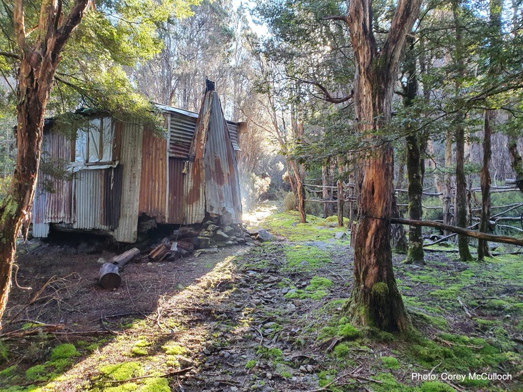 White Grass Hut - Mountain Huts Preservation Society Inc